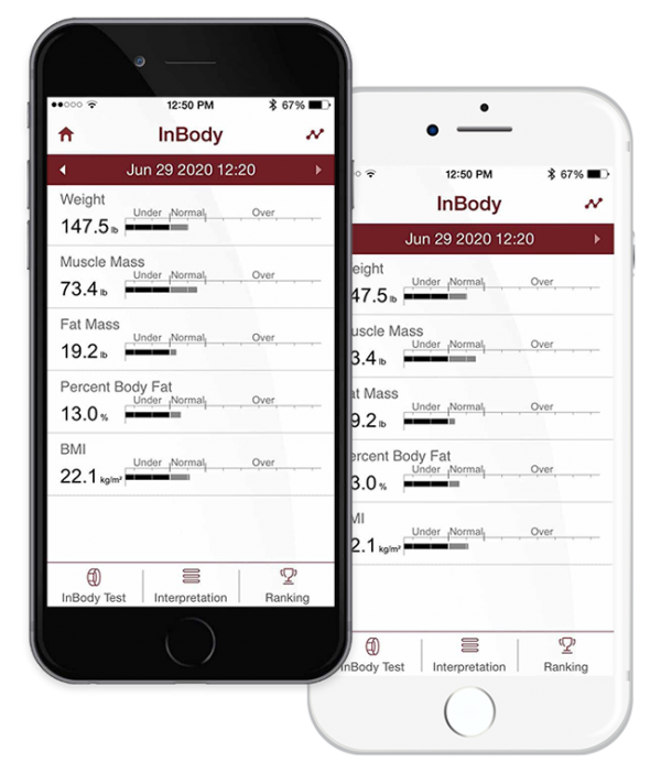 InBody Basics - Inbody Academy